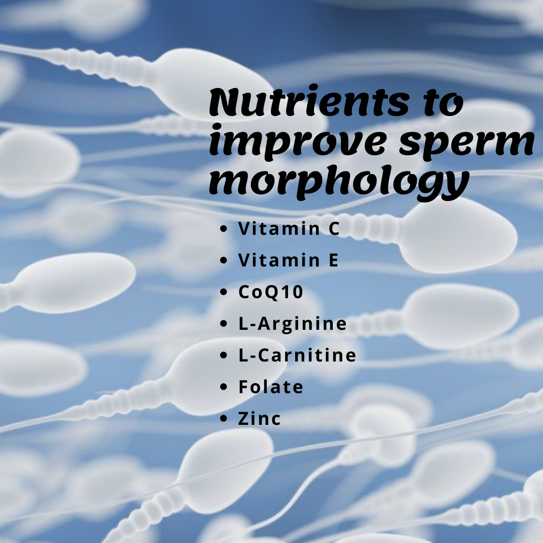 How To Improve Sperm Morphology For Fertility | Beli Baby